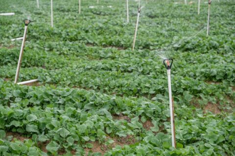 Agricultural Technology Trends: What Is Changing In Modern Farming ...