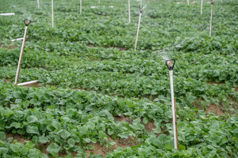 Agricultural Technology Trends: What Is Changing In Modern Farming ...